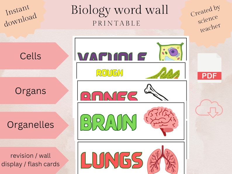 Biology Word Wall Flash Card Pack | Anatomy | Cell Biology | Lab Notes ...