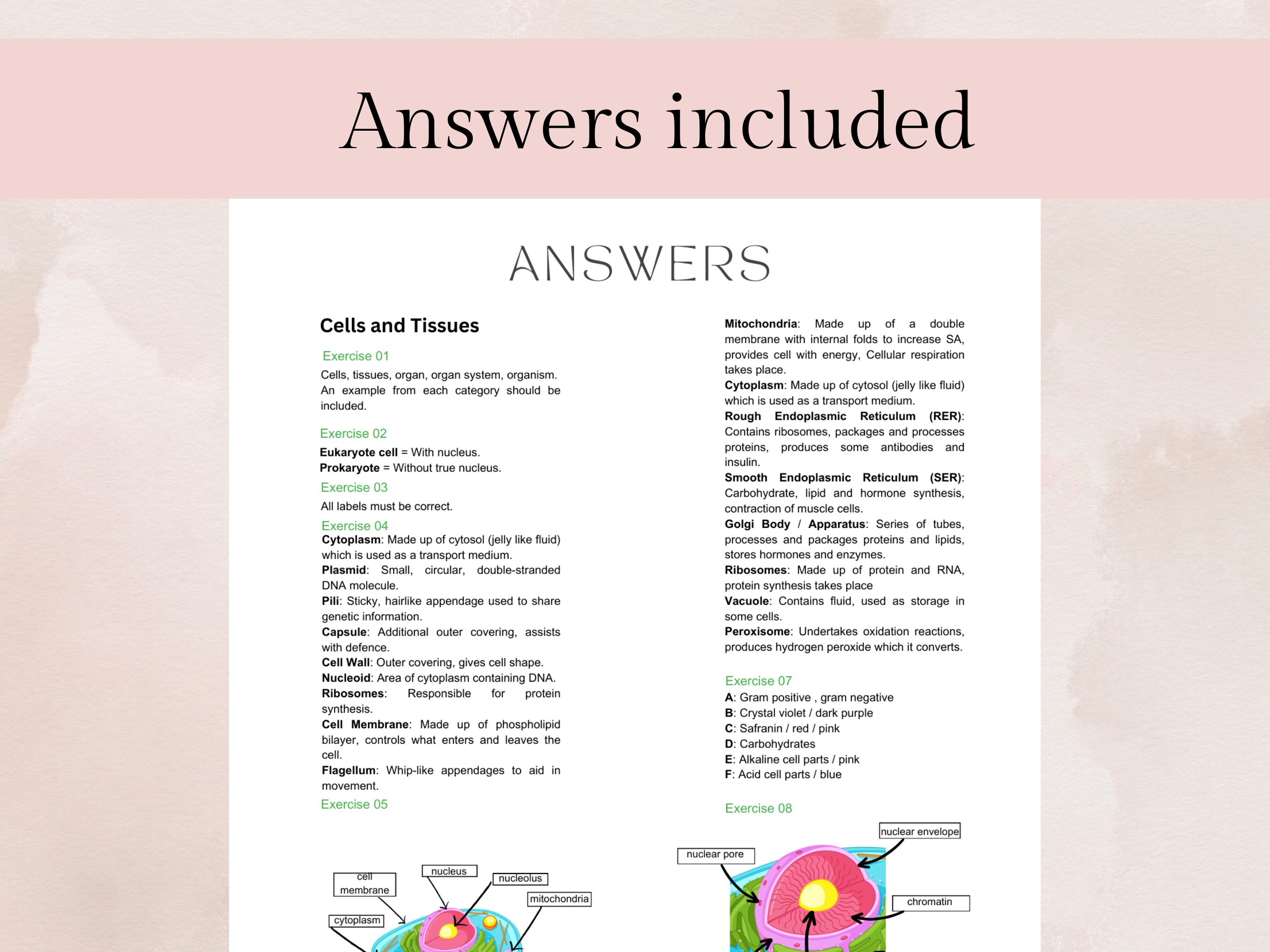 Cell and Tissues Biology Workbook Revision Activity Biology Worksheets ...