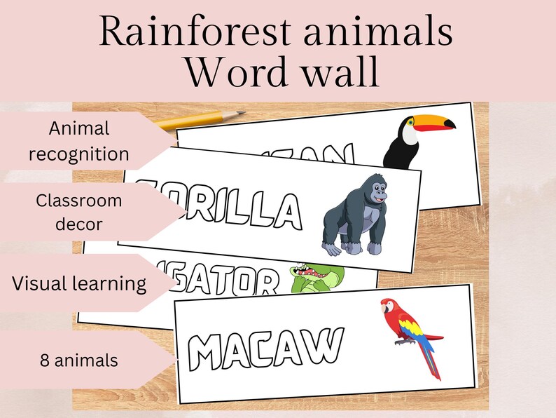 Jungle | Animal Word Wall | Rainforest | Flash Card Pack | Primary ...
