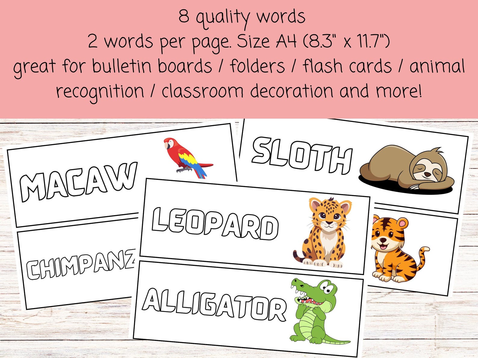 Jungle Animal Word Wall Rainforest Flash Card Pack Primary Animal ...