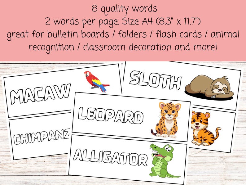 Jungle | Animal Word Wall | Rainforest | Flash Card Pack | Primary ...