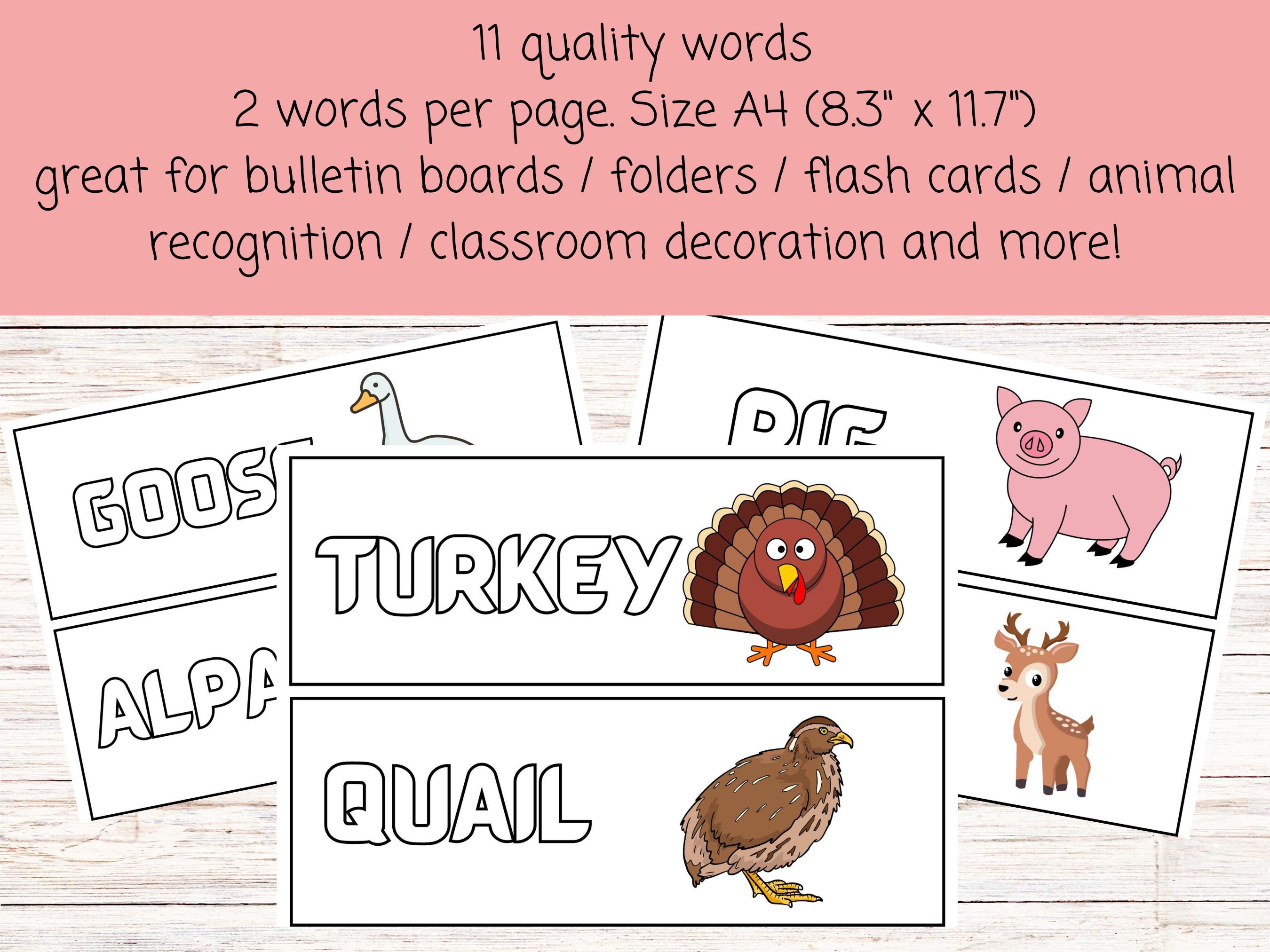 Farm Animal Word Wall Flash Card Pack | Farm | Primary | Animal ...