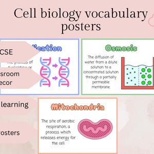 GCSE | Cell | Biology | Science | Posters | Classroom Decor ...