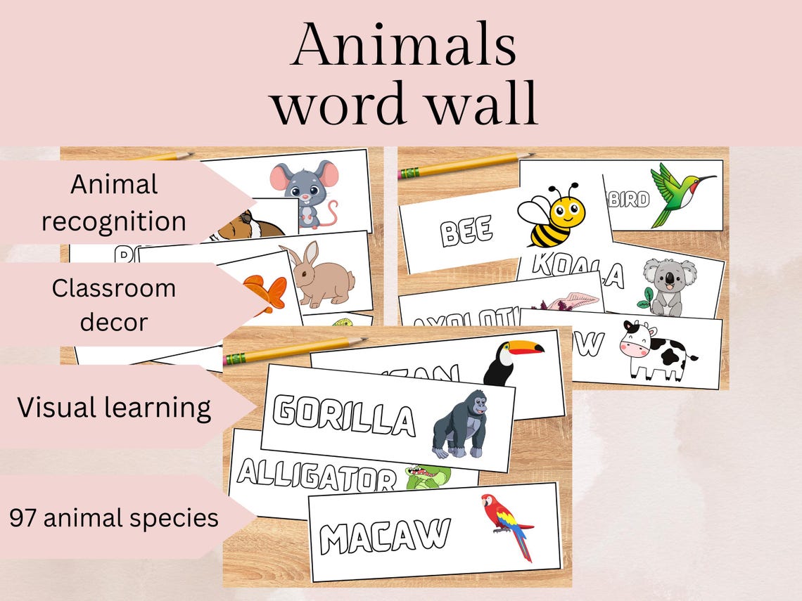 Animal Word Wall | Flash Card Pack | Primary | Animal | Classroom ...