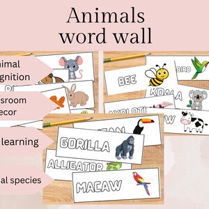 Animal Word Wall | Flash Card Pack | Primary | Animal | Classroom ...