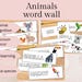 Animal Word Wall | Flash Card Pack | Primary | Animal | Classroom ...