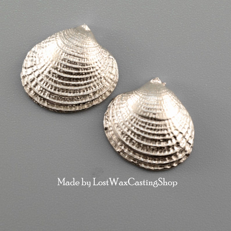 Limpet Shell Casting in Silver for Jewellery Making or Crafting - Etsy