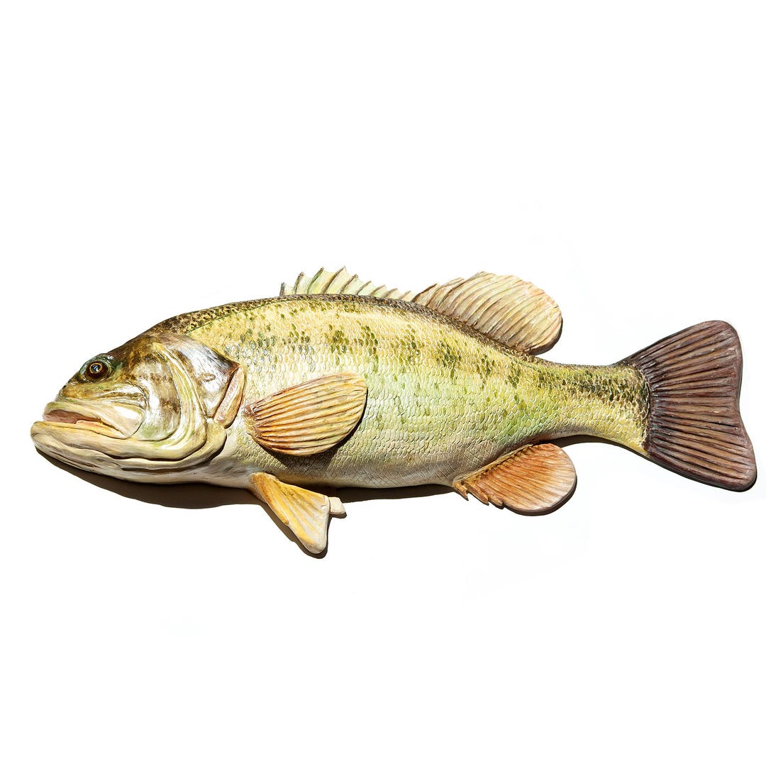 Fishing Decor, Fish Wall Sculpture, Largemouth Bass, Realistic Bas ...