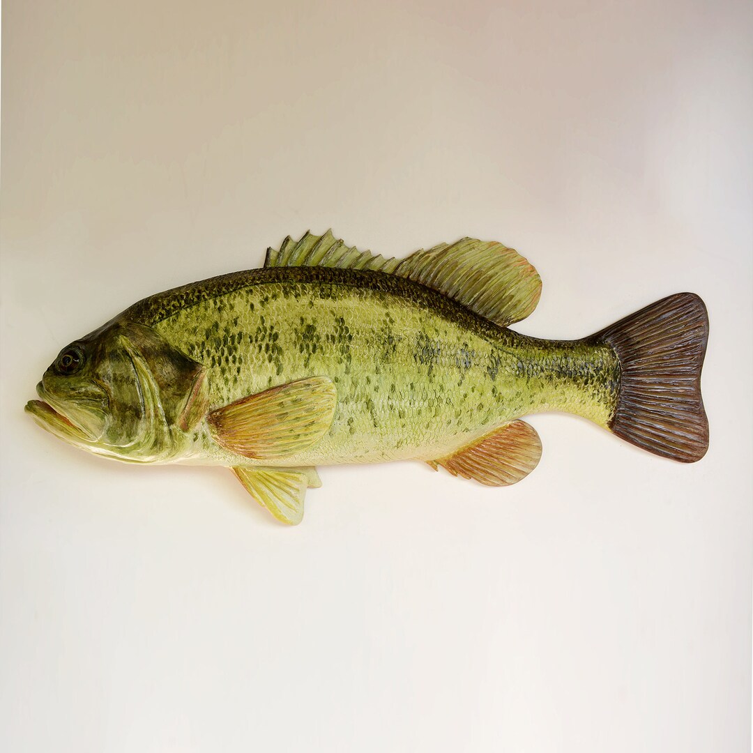 Fish Wall Sculpture, Largemouth Bass, Realistic Bas-relief Fish ...