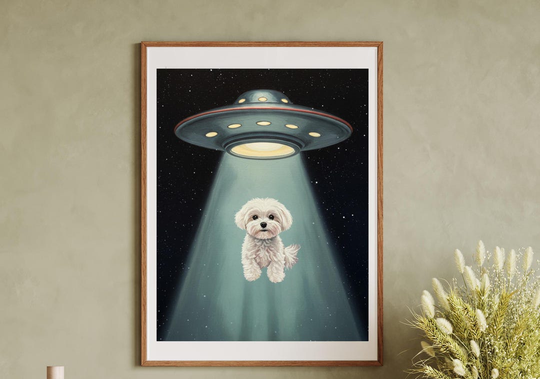 Maltipoo, Maltese Poodle Dog, UFO Wall Art, Alien Abduction Encounter ...
