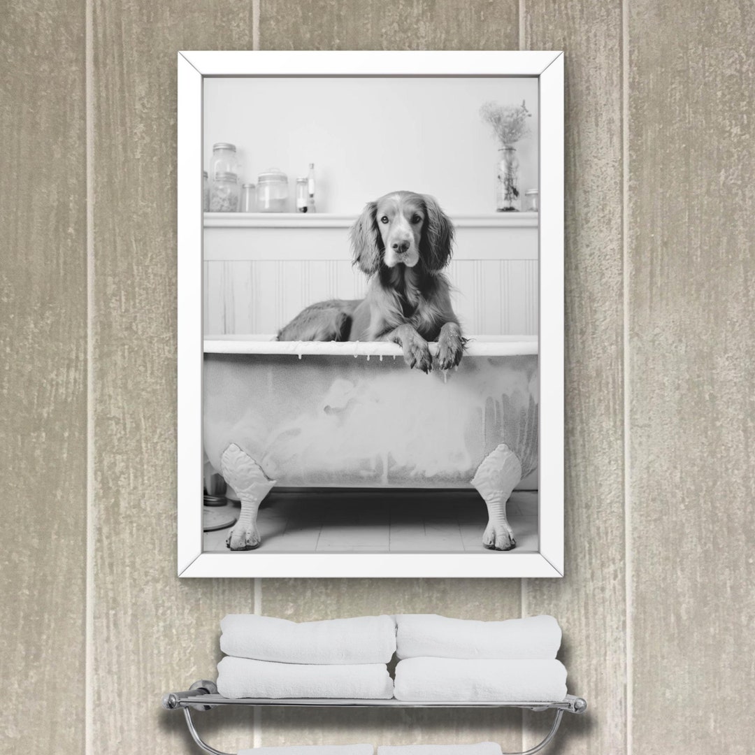 Irish Setter Dog in Tub Bathroom Wall Art Irish Setter Taking a Bath ...