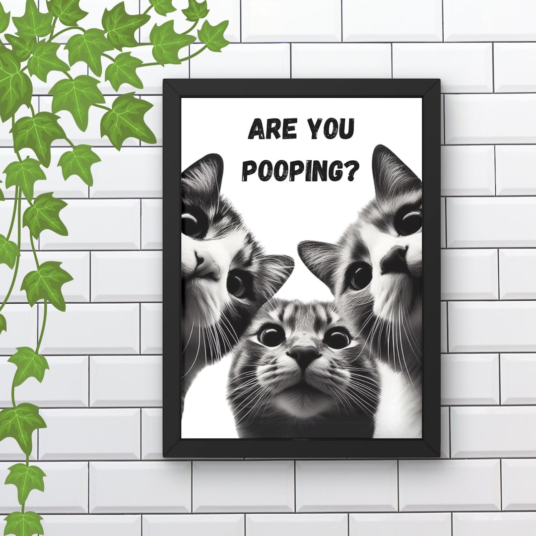 Cat Wall Art Bathroom Are You Pooping Print Bathroom Wall Art Cat ...