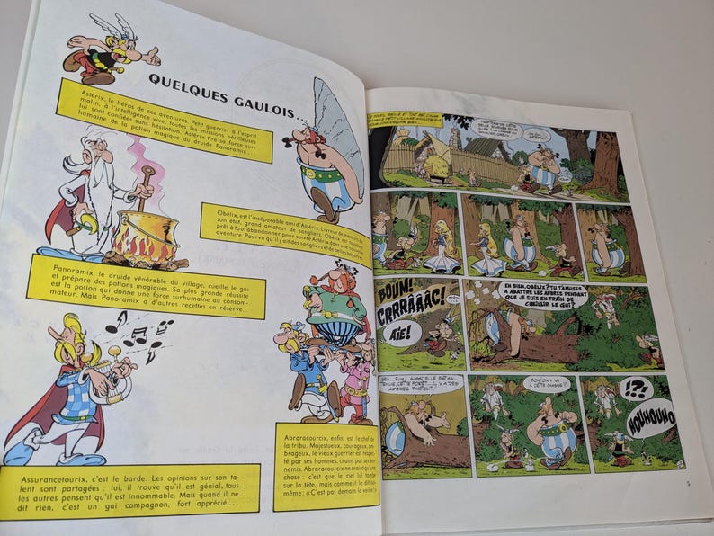 Asterix Legionnaire French 1990s Edition Uderzo - Etsy