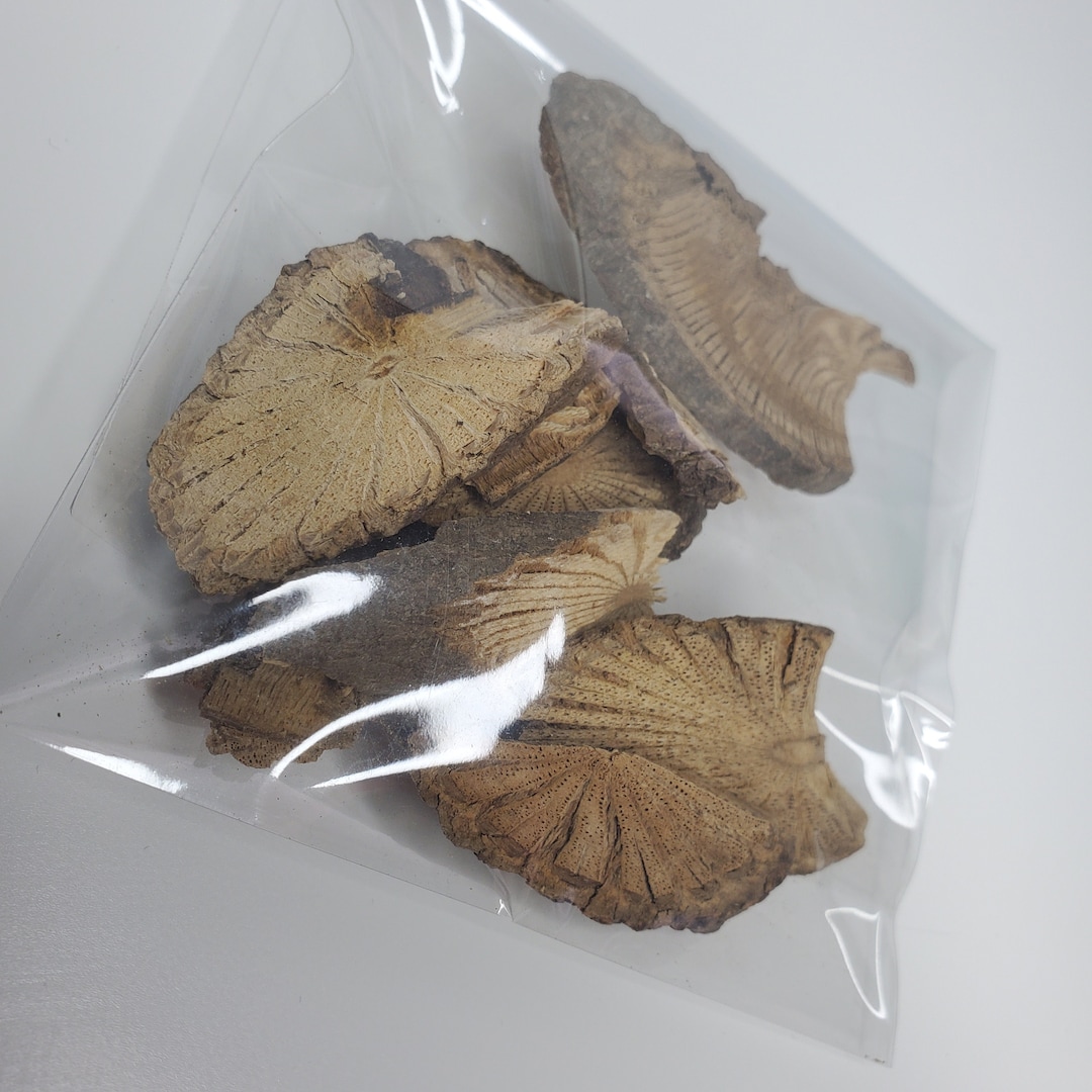 Qing Feng Teng Herb Orient Vine Stem Japanese Sabia Stem Bulk Herbal ...