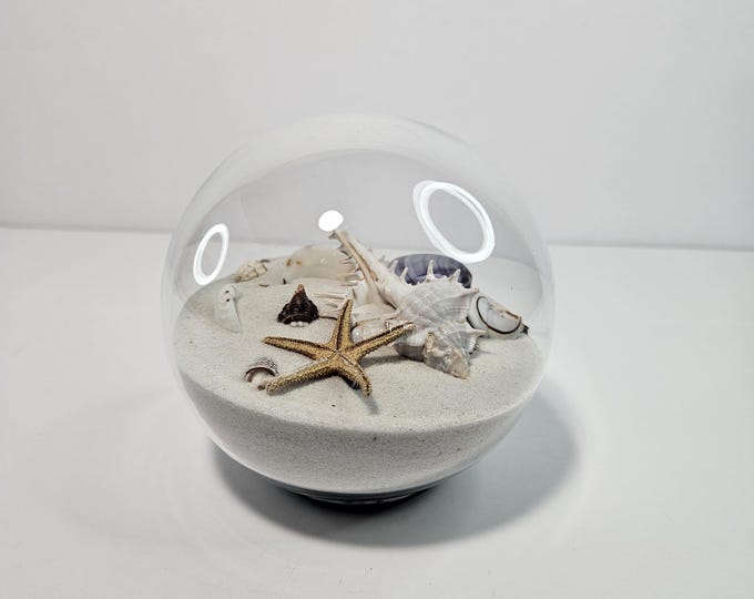 Vintage Beach Ball Sand & Shells Paperweight Glass Globe 4" Tall - Etsy