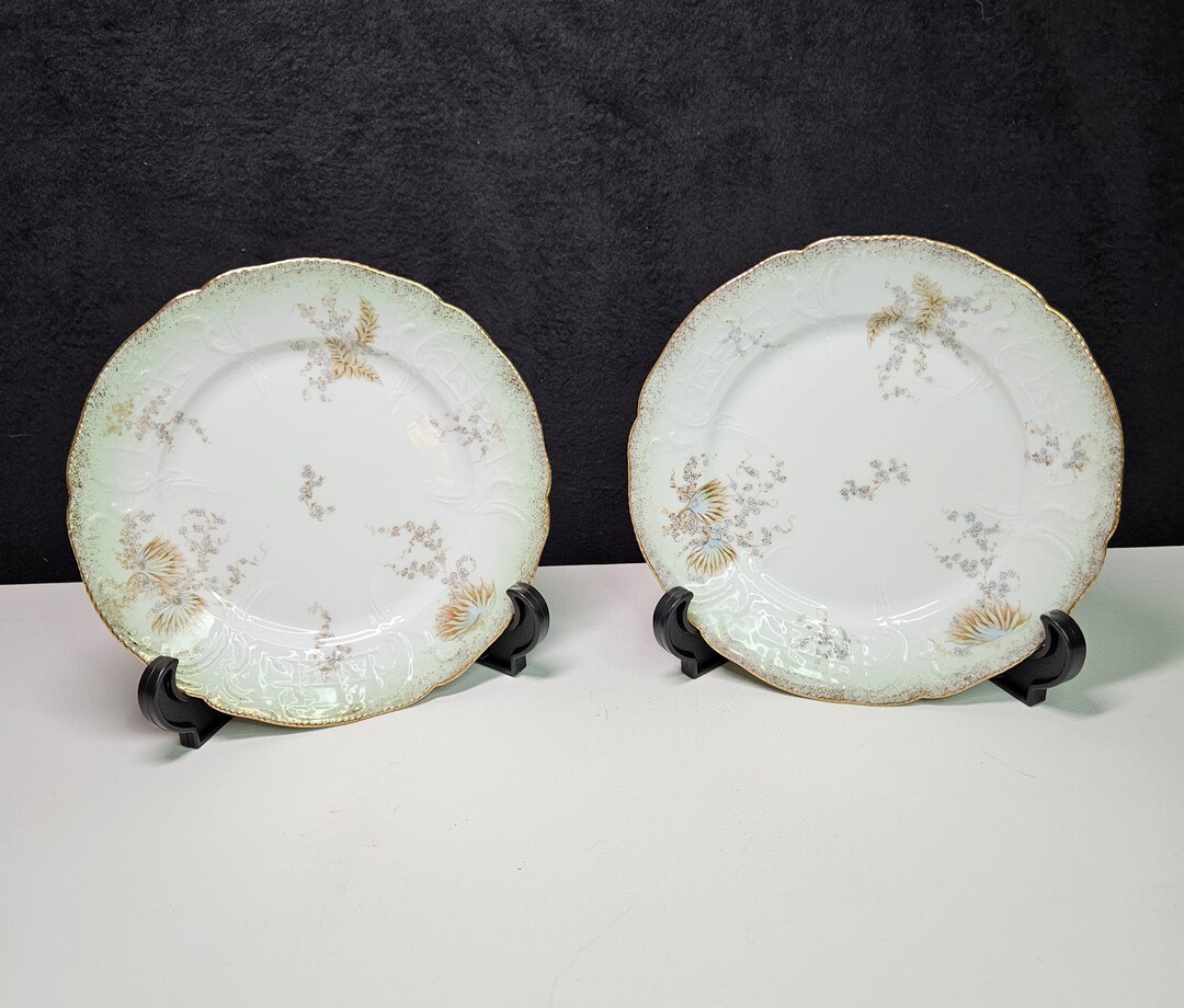 Set of 2 Antique Rosenthal Sanssouci Dessert Plates Hand Painted Floral ...