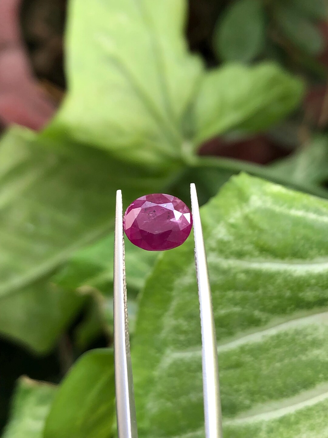 Wow Top Quailty Oval Cut Ruby Stone From Afghanistan. - Etsy