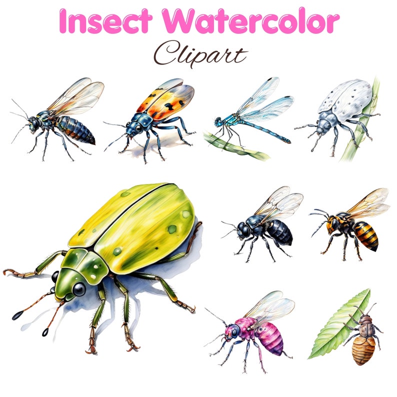 Insect Watercolor Clipart, Insect Clipart, Cute Insects, Insect ...