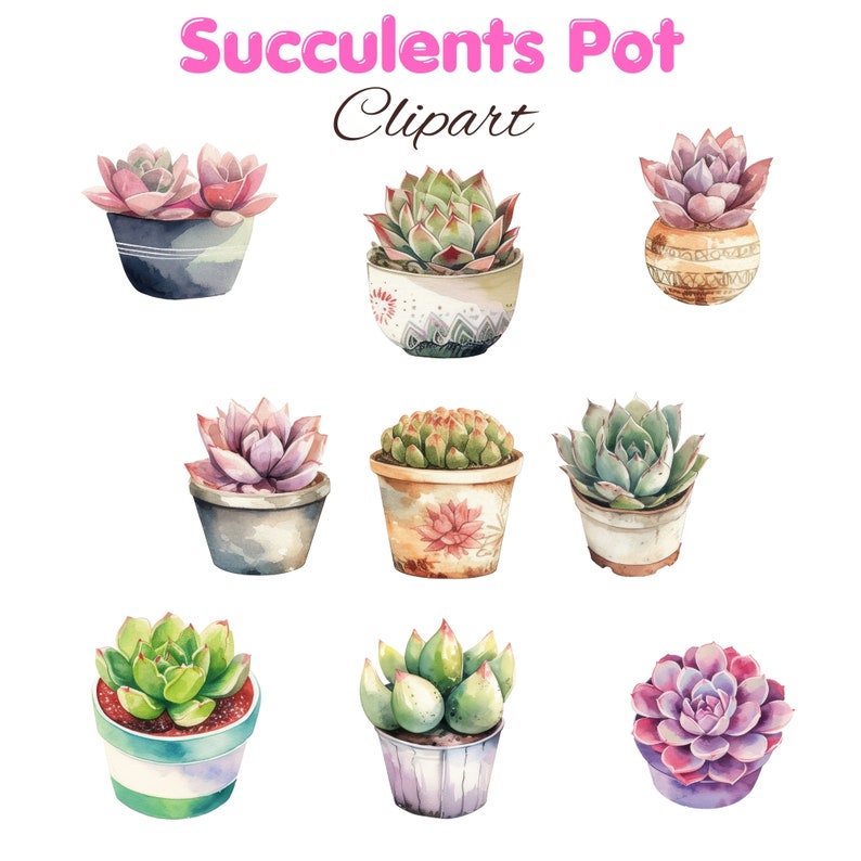 Succulents Pot Clipart, Watercolor Succulent Clipart, Succulent PNG ...
