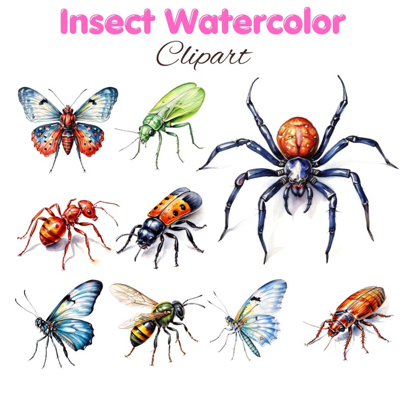 Insect Watercolor Clipart, Insect Clipart, Cute Insects, Insect ...