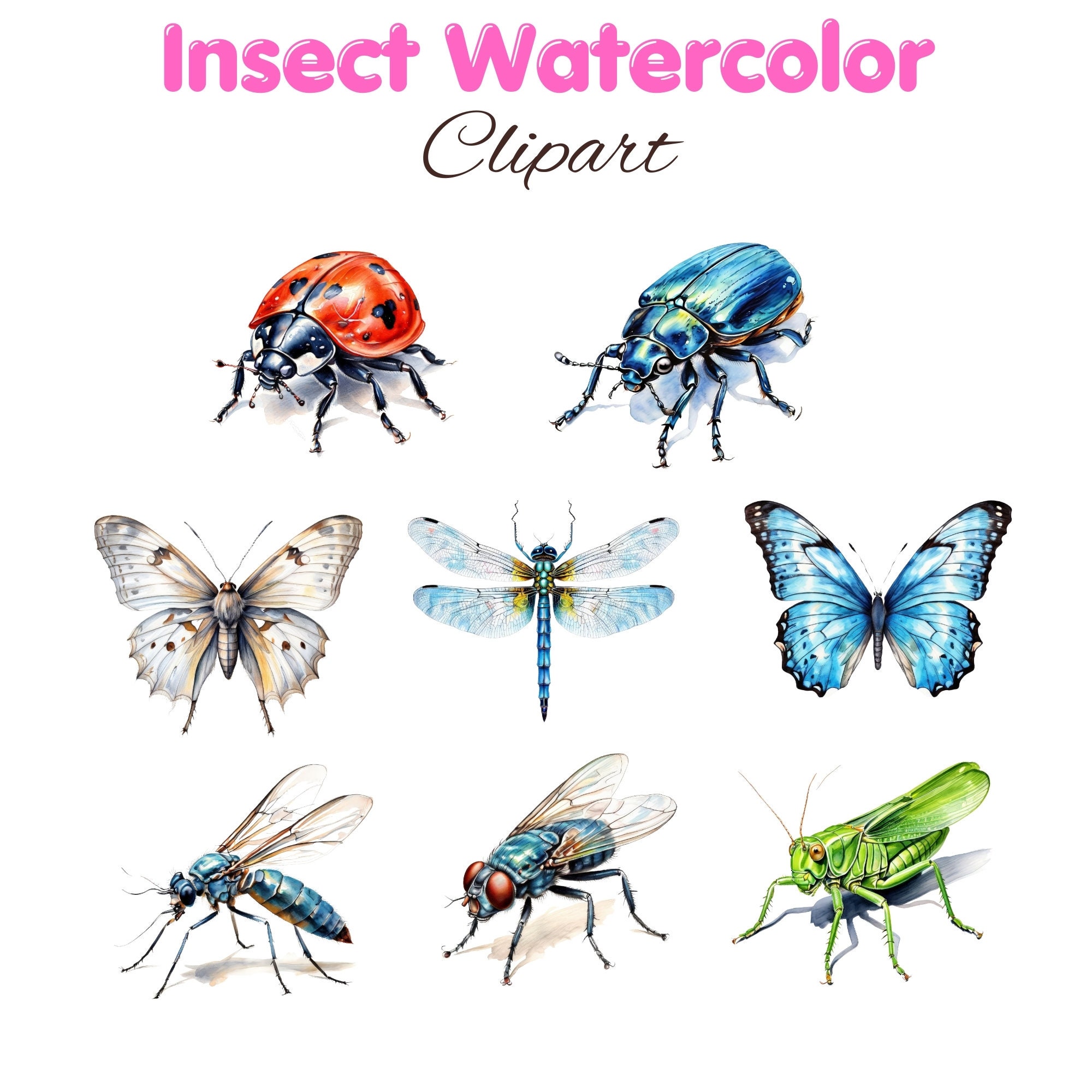 Watercolor Insect Clipart, Bug Graphics (digital Download) - Etsy