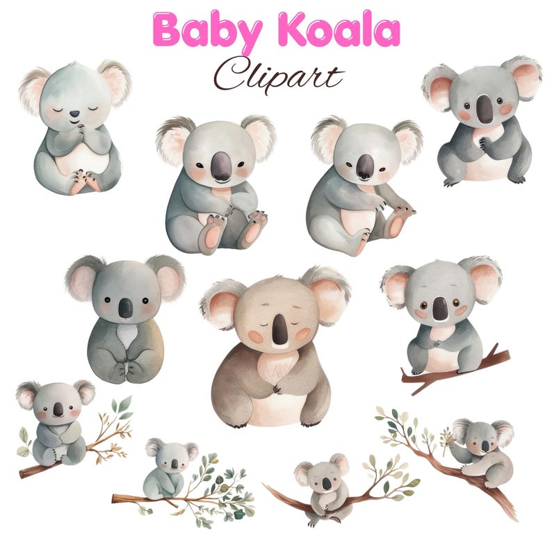 Baby Koala Clipart , Koala Clipart,koala Png,koala Watercolor ,baby ...