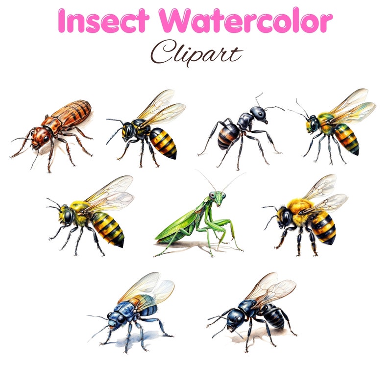 Insect Watercolor Clipart, Insect Clipart, Cute Insects, Insect ...