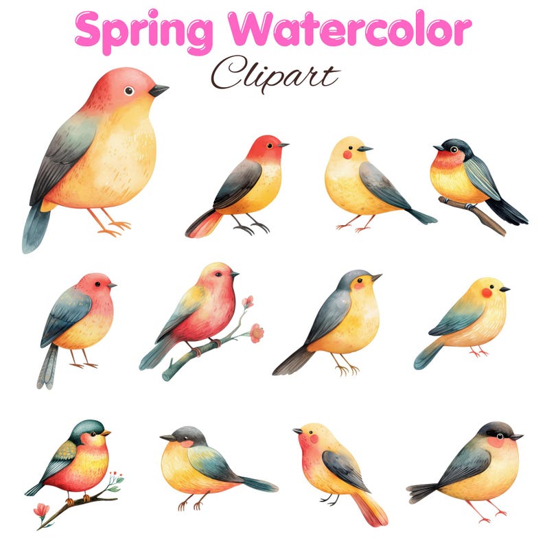 Spring Watercolor Clipart , Floral Spring , Butterfly Spring , Bird ...