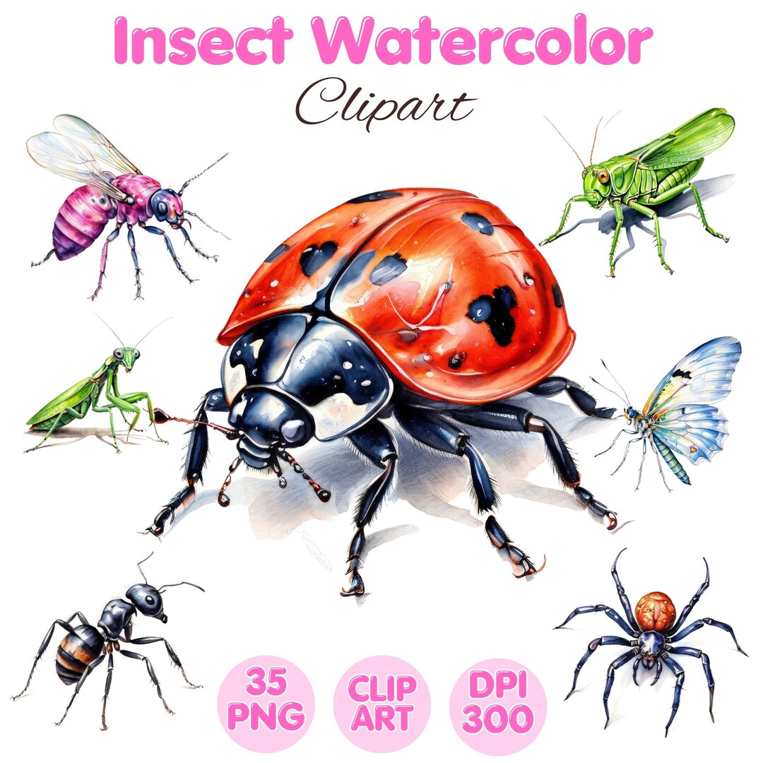Insect Watercolor Clipart, Insect Clipart, Cute Insects, Insect ...