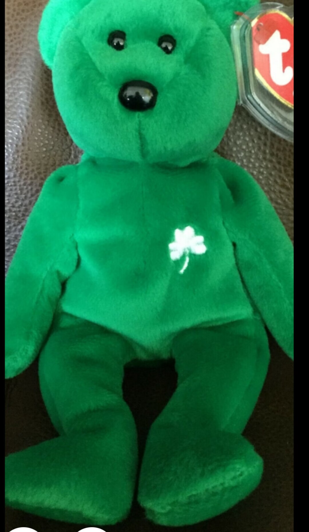 Good Luck Bear Beanie Baby - Etsy