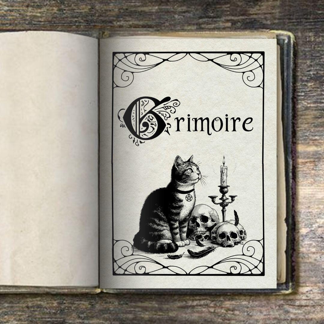 Cat & Skull Grimoire Front Cover: Witchcraft Book of Shadows (digital ...