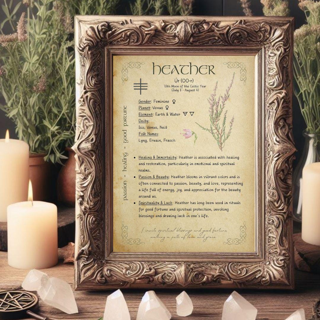 25 X Ogham Alphabet Illustrated Pages, Ancient Druid Writing, Celtic ...