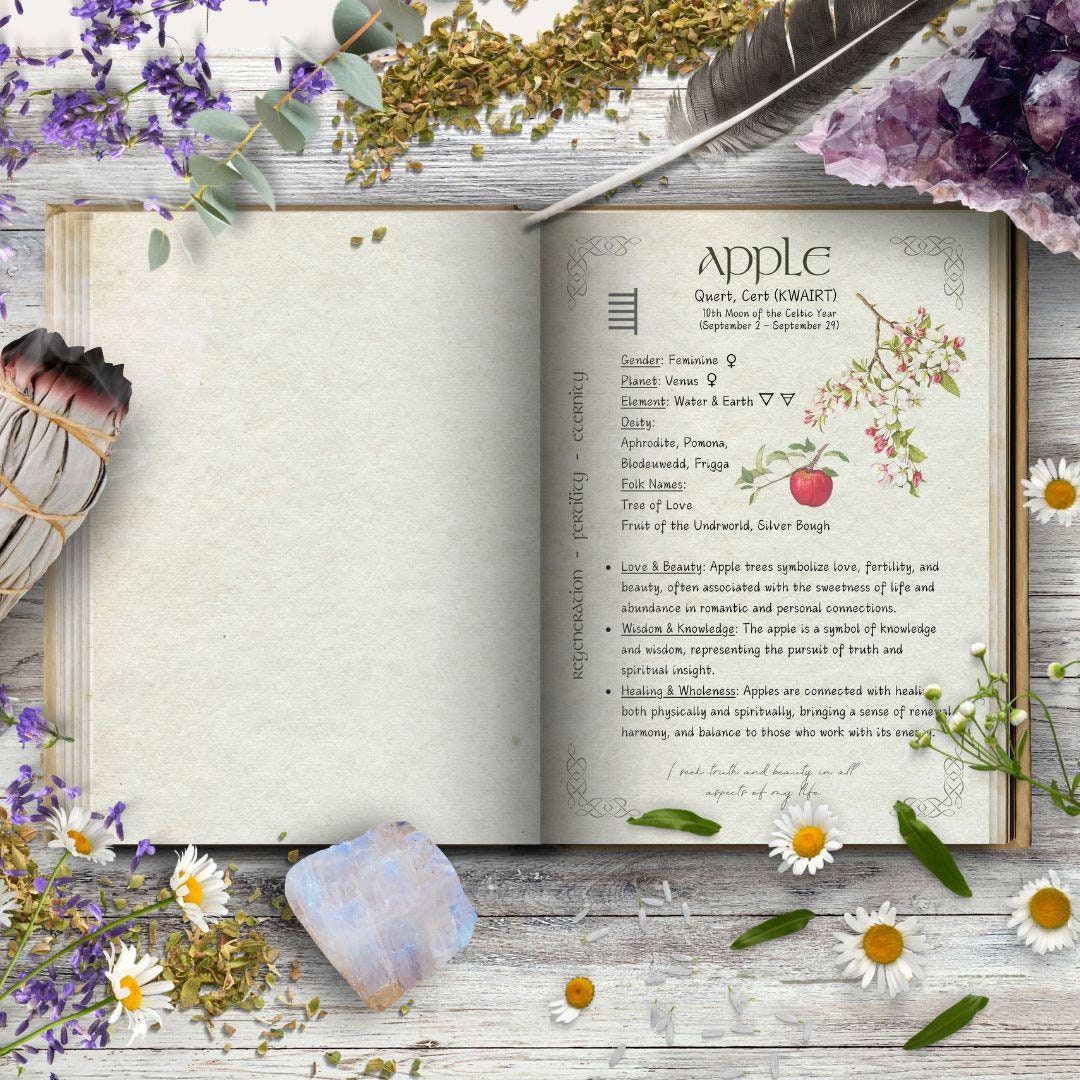 Ogham Alphabet Illustrated Pages: Celtic Druid Script (digital Download ...