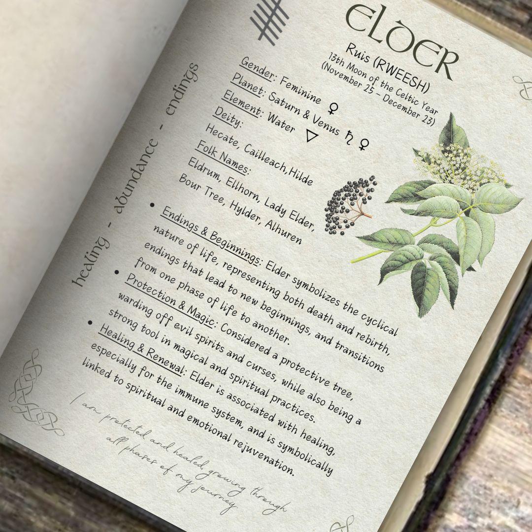 25 X Ogham Alphabet Illustrated Pages, Ancient Druid Writing, Celtic ...