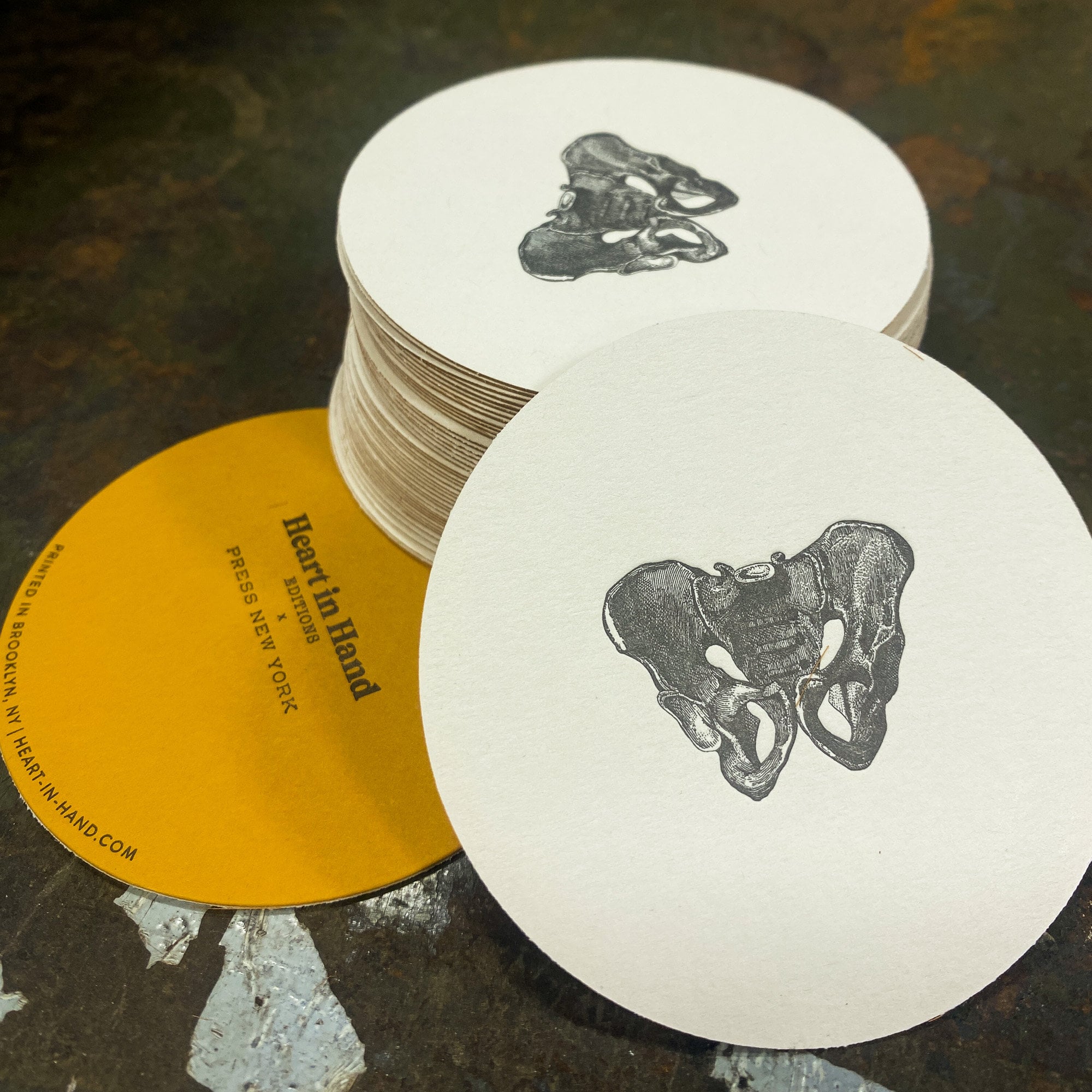The Anatomy Collection- Limited Edition Coaster Collection, Set of 12 ...