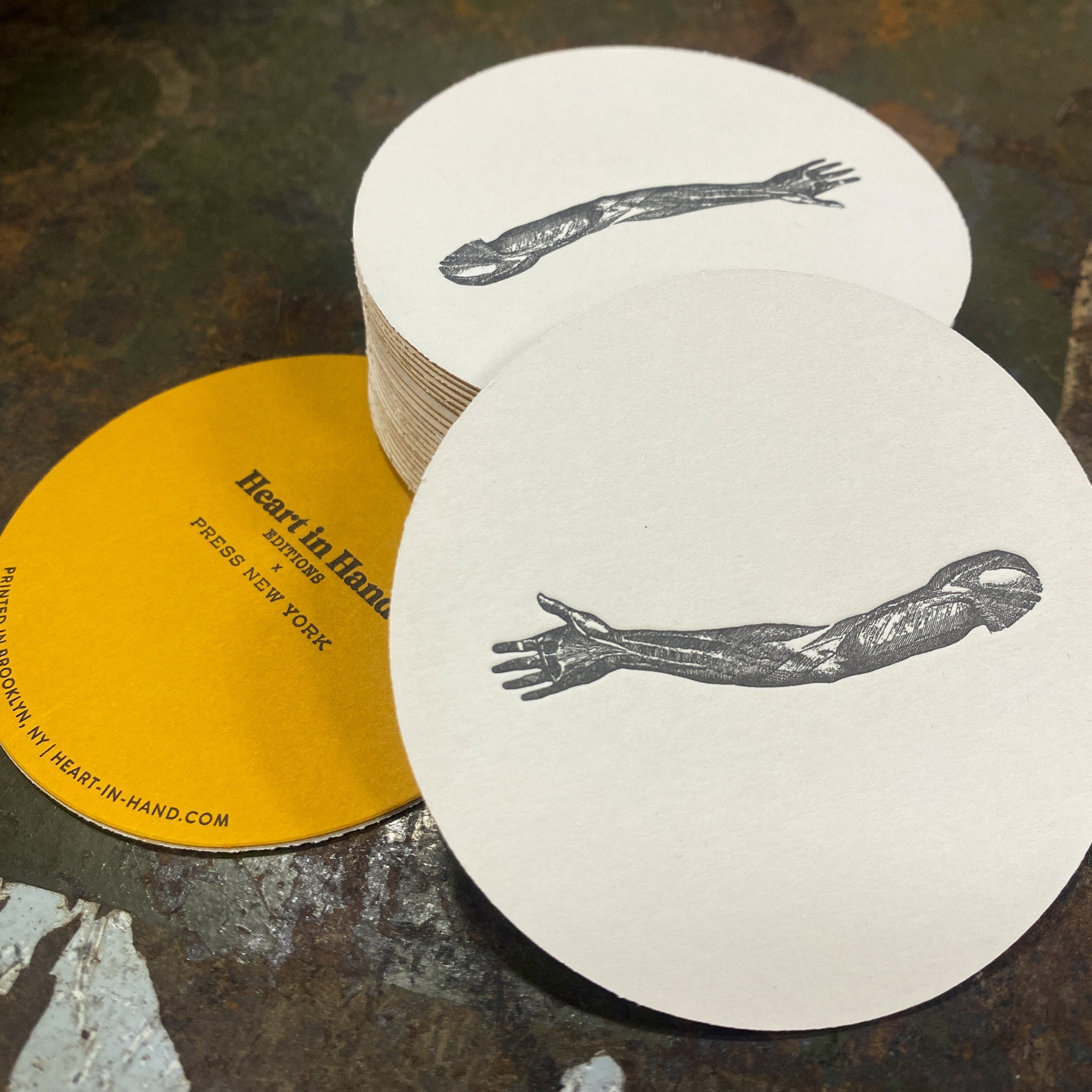The Anatomy Collection- Limited Edition Coaster Collection, Set of 6 ...