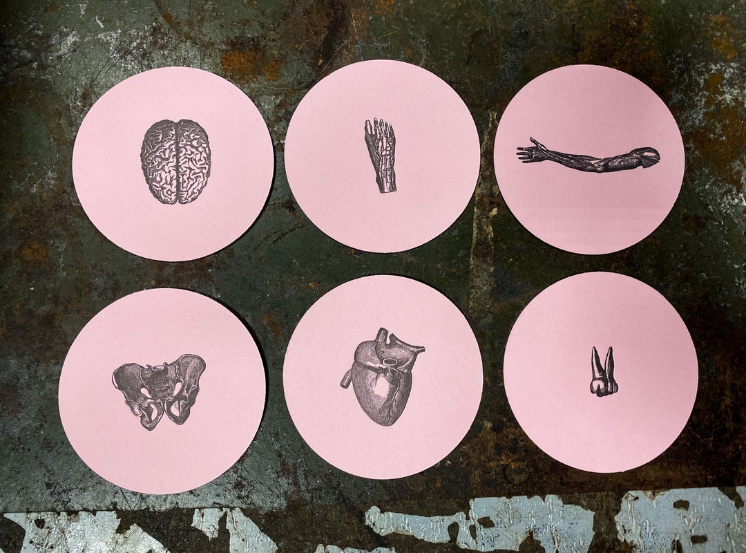 The Anatomy Collection- Limited Edition Coaster Collection, Set of 6 ...