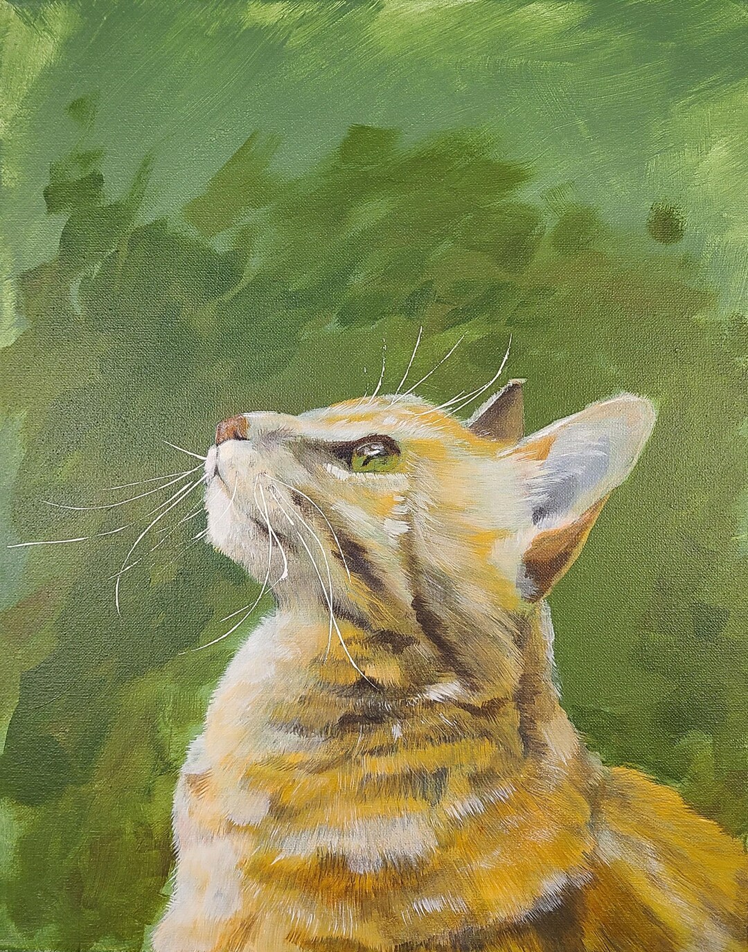 Orange Cat Portrait - Etsy