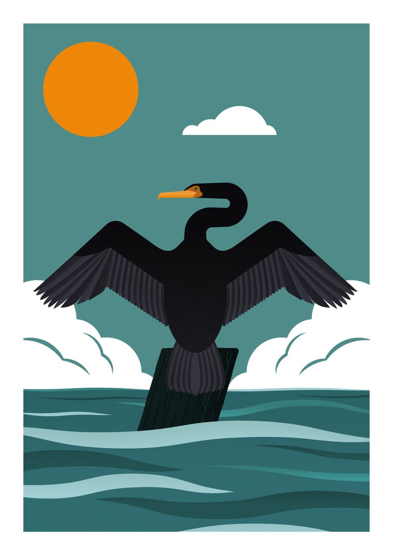 Cormorant Sunning, Bird Poster - Nature Print - Etsy