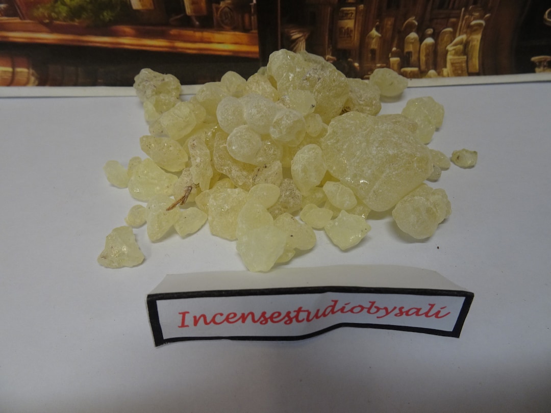 Indonesian Damar Gum, Dipterocarpaceae - Etsy