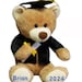 Personalized Graduation Bear Plushie - Etsy