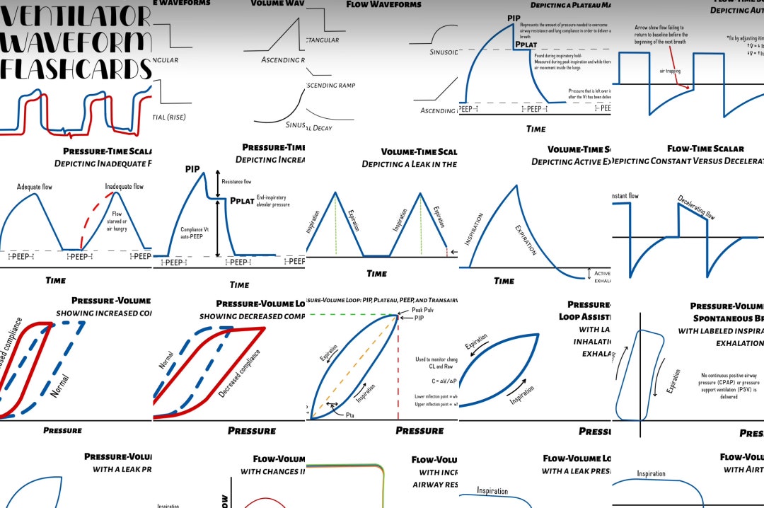 Ventilator Waveform Flashcards - Etsy
