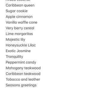 Pistachio Salted Caramel Diffuser - Etsy