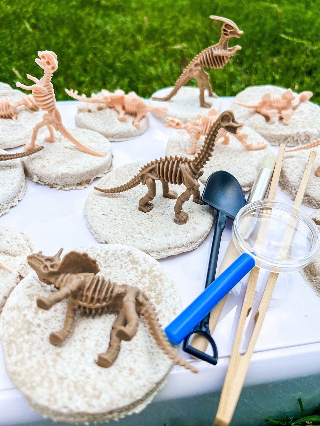 Dinosaur Fossils Matching Activity With 10 Dino Figurines and Brush ...