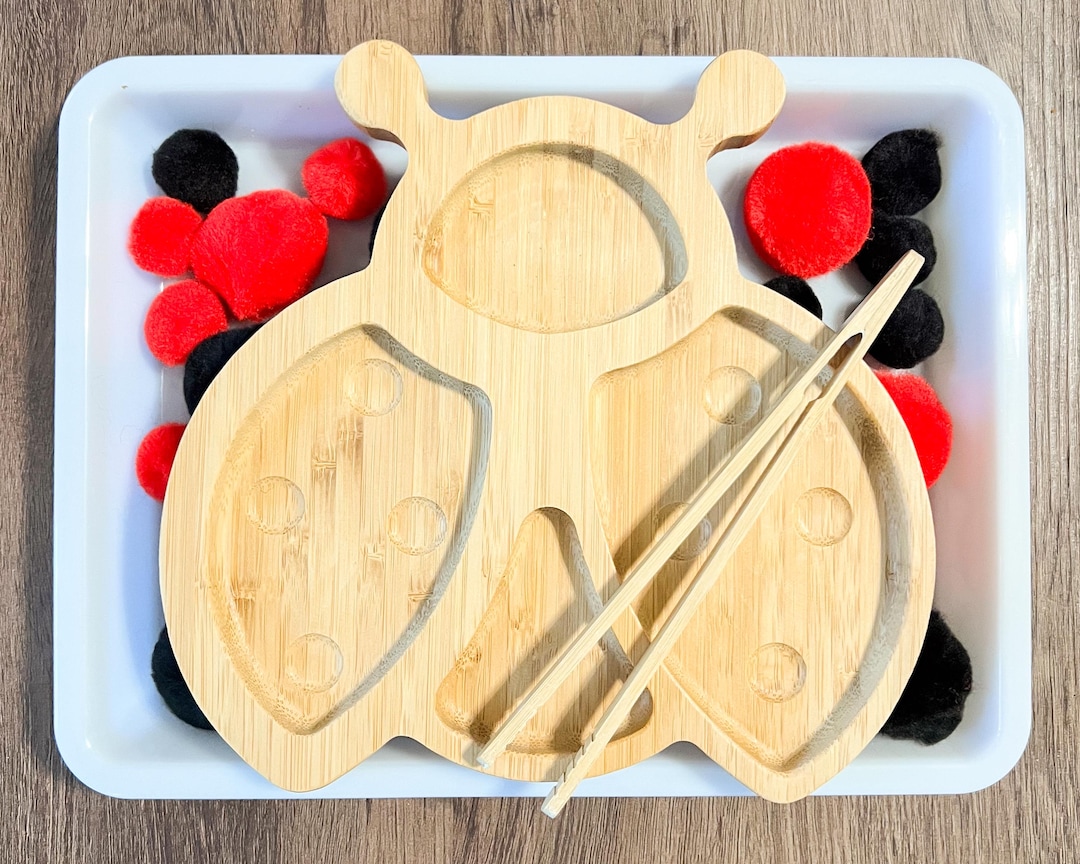 Sensory Bin Ladybug Wooden Filler With Pom Poms and Scoop for Young ...