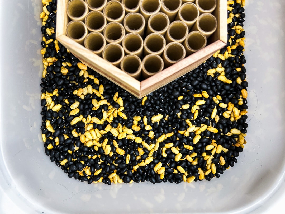 Sensory Bin Filler Bumblebee Bug Themed Mix (only Beans No Accessories ...