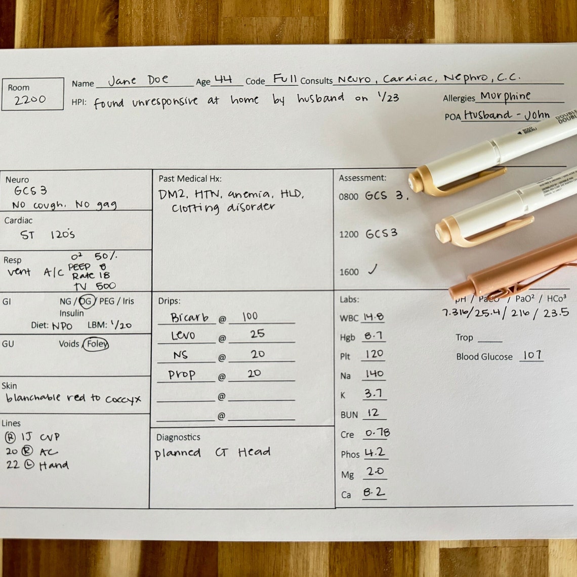 Horizontal Report Sheet - Days - Critical Care - ICU - Etsy