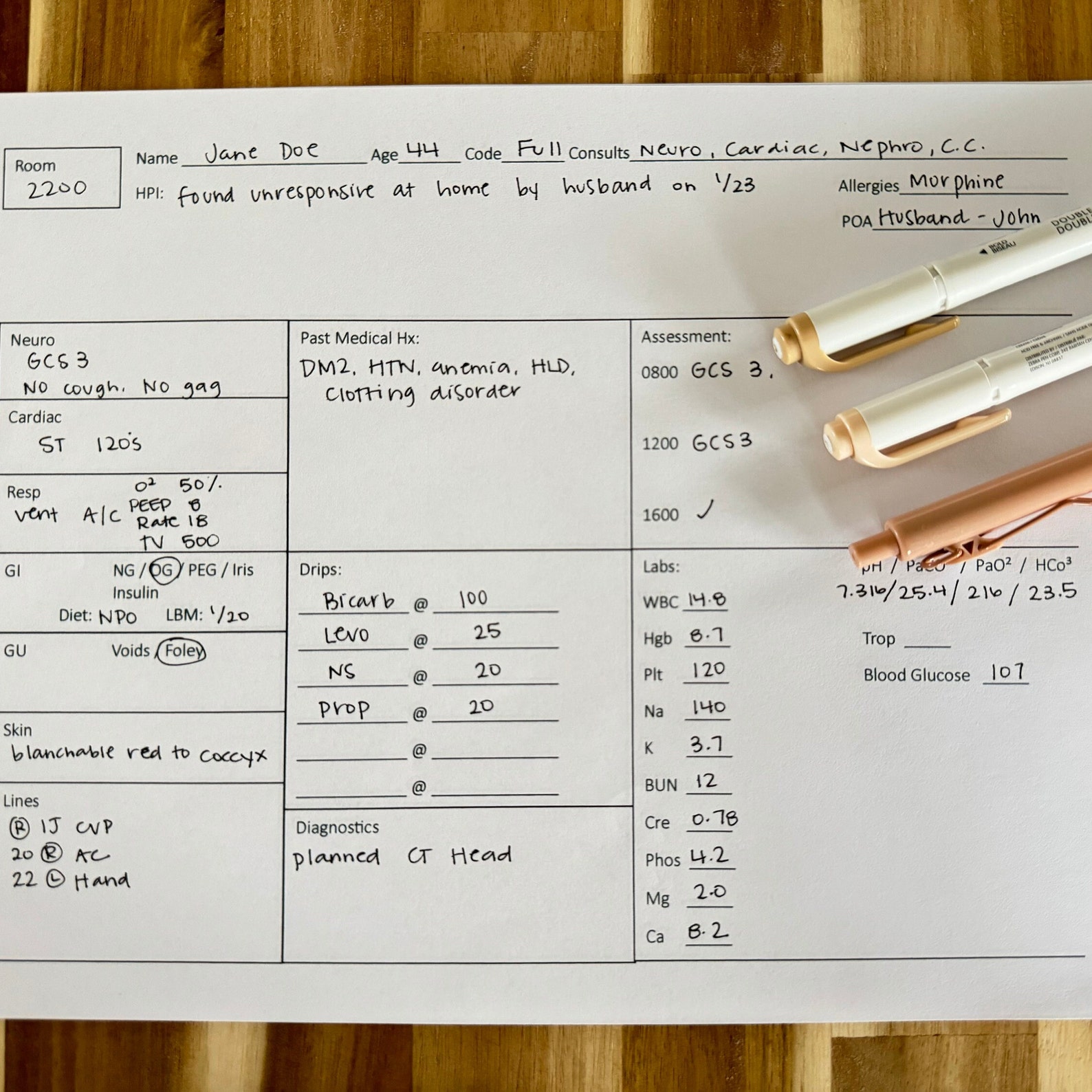 Horizontal Report Sheet - Days - Critical Care - ICU - Etsy