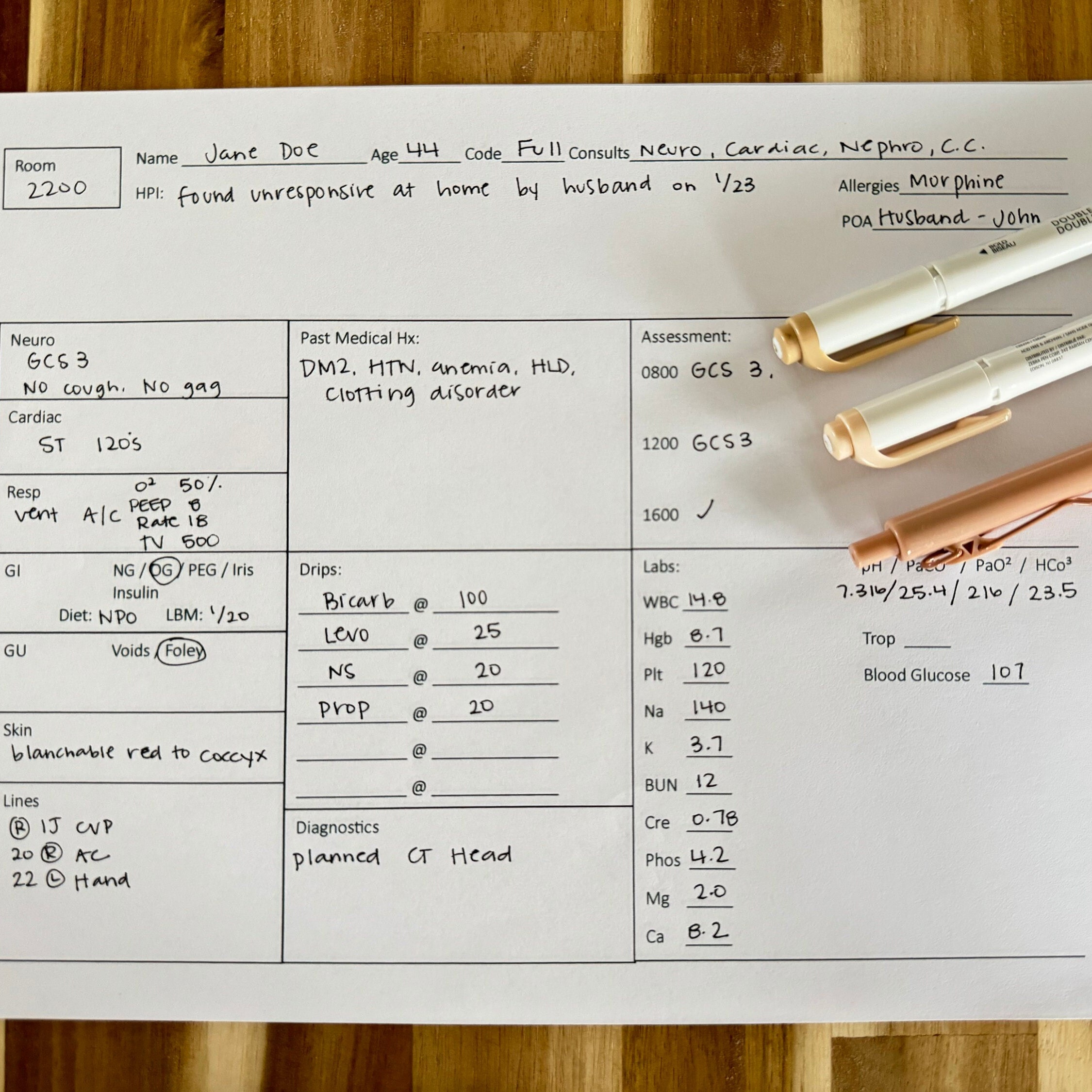 Horizontal Report Sheet - Days - Critical Care - ICU - Etsy