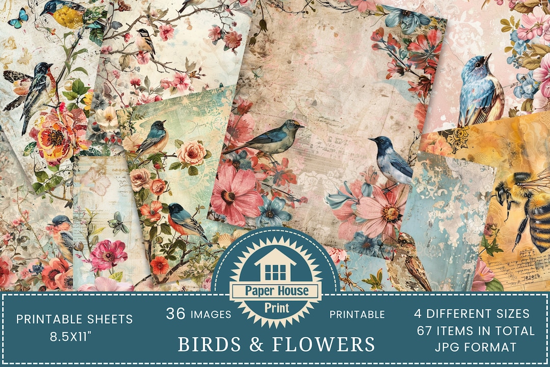 Mixed Media Shabby Chic Vintage Birds & Floral Digital Paper, Shabby ...